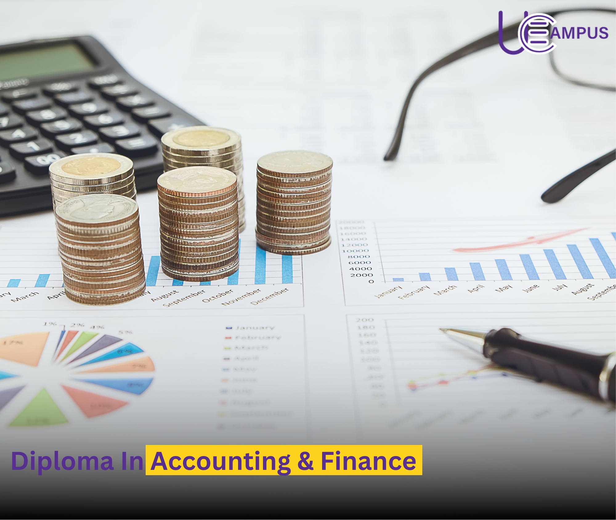 Level 5 Diploma in Accounting and Finance | Ue Campus